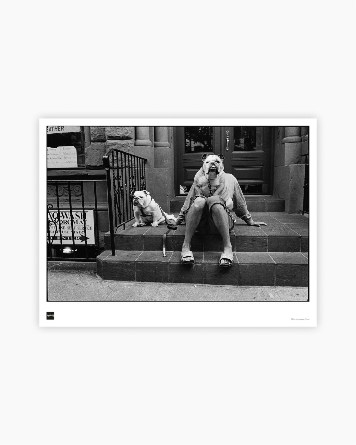 Magnum Collection Posters