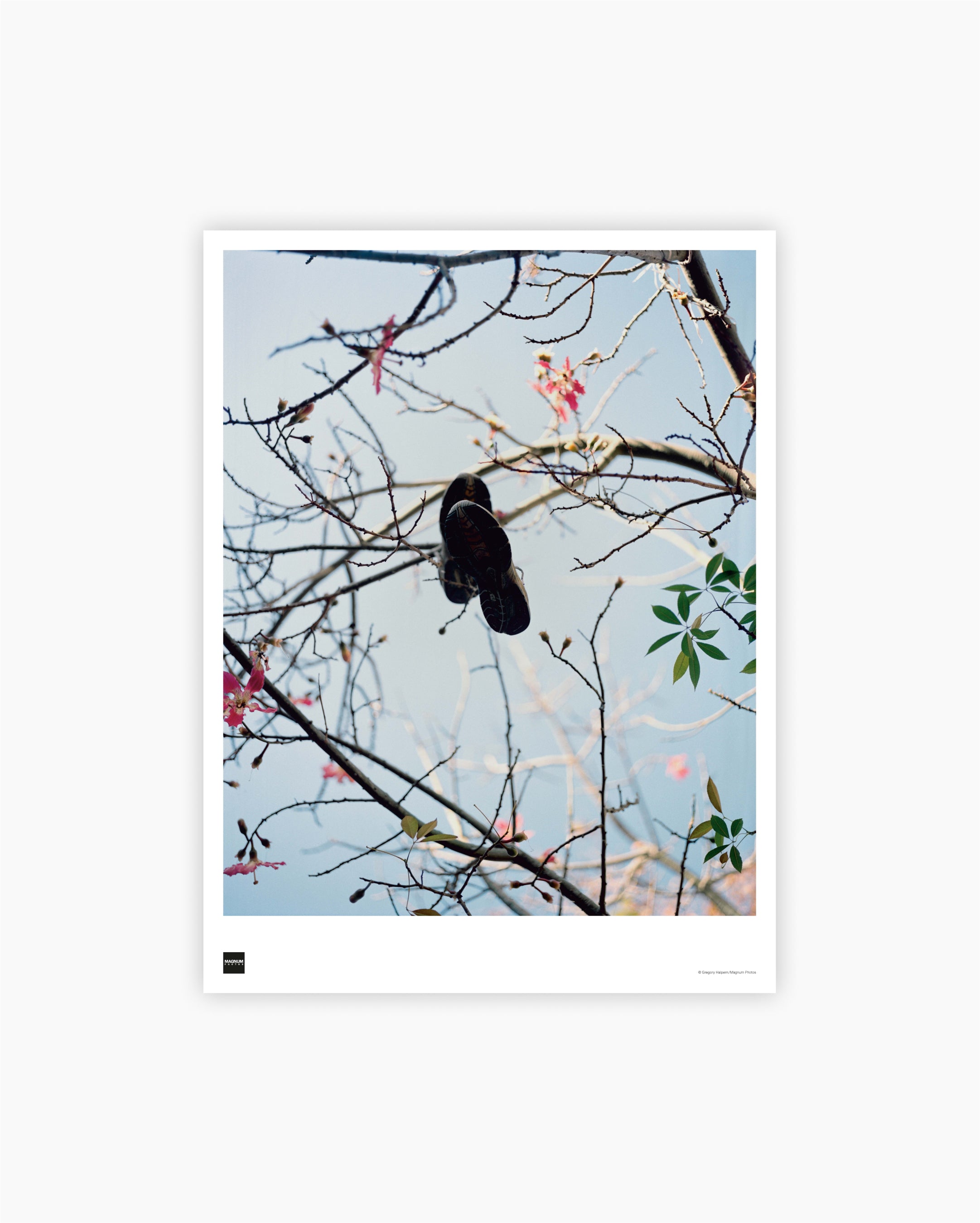 Magnum Poster: Los Angeles, USA, 2008–2015